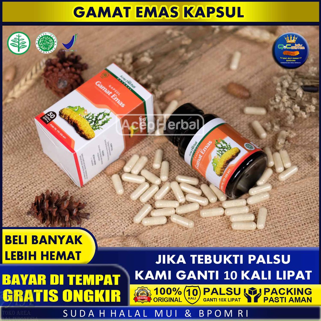 Jual Obat Syaraf Kejepit Alami Sciatica Skiatika Sakit Pinggang - GAMAT ...
