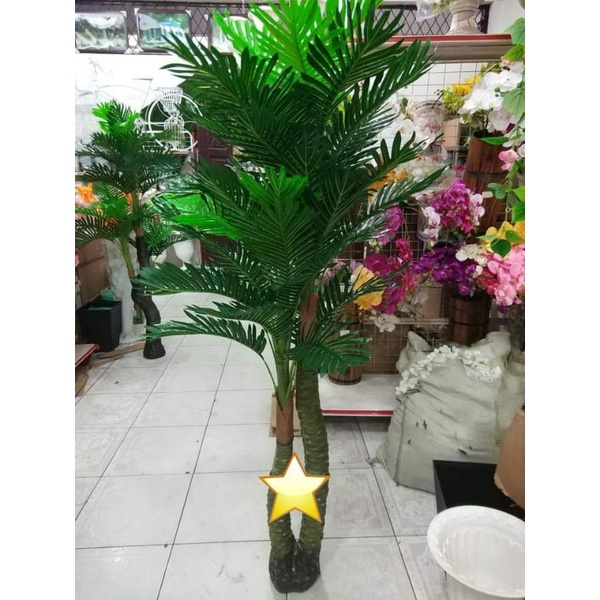 Jual pohon palem latex impor tinggi 185 cm | Shopee Indonesia