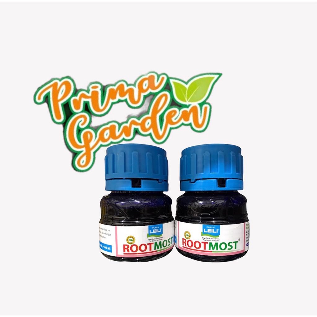 Jual ROOTMOST Hormon Percepat Pertumbuhan Akar Stek Batang Tanaman | Shopee Indonesia