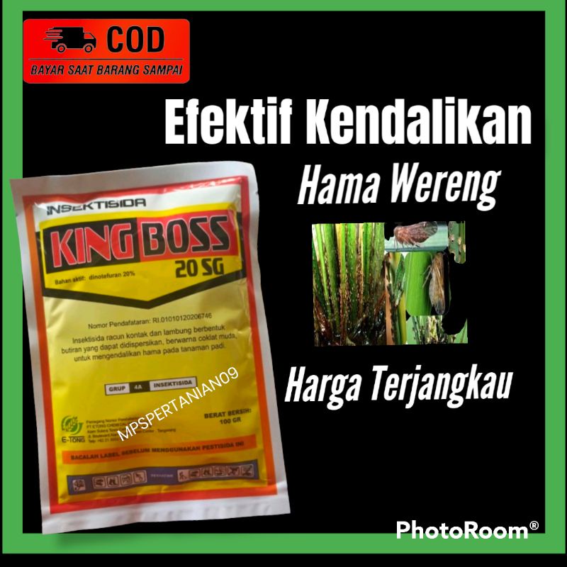 Jual KING BOSS 20 SG Insektisida Pengendali Hama Wereng (1 pack Bonus ...