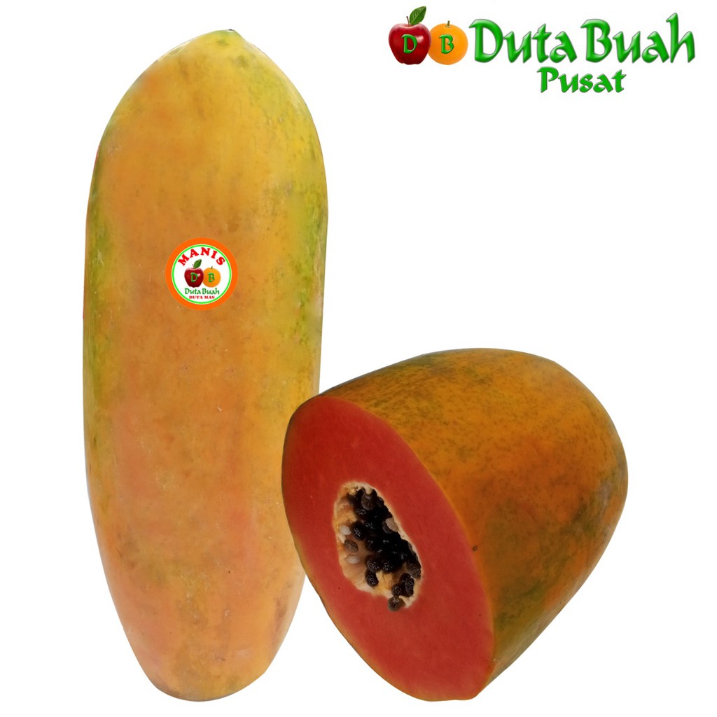 Jual DUTA BUAH Pepaya Calina (0.8-1kg/pcs) | Shopee Indonesia