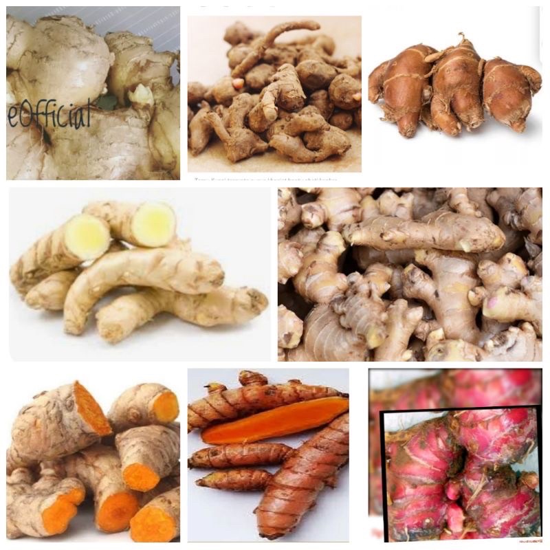 Jual EMPON EMPON REMPAH REMPAH DAPUR | Shopee Indonesia Jual EMPON EMPON REMPAH REMPAH DAPUR | Shopee Indonesia