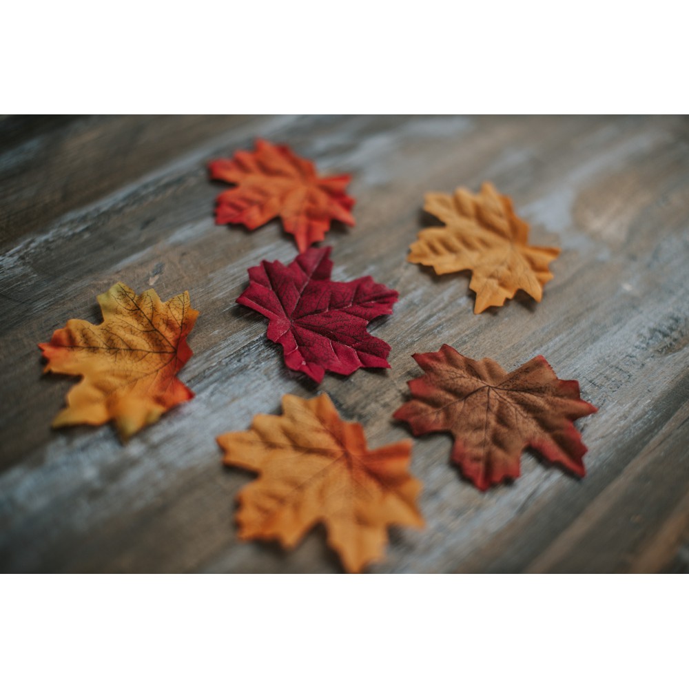 Jual Daun Maple momiji Artificial props foto dekorasi properti | Shopee ...