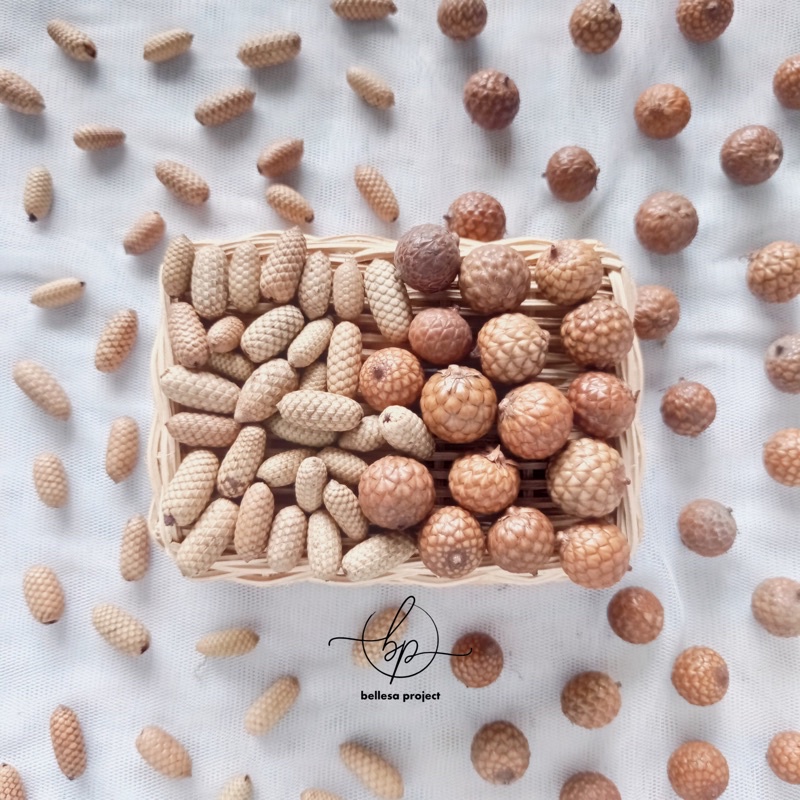 Jual (10Gram) BIJI ROTAN BULAT DAN LONJONG BAHAN HIASAN RINGBOX MAHAR ...