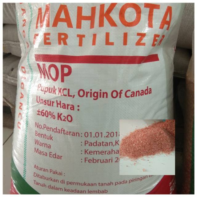 Jual Pupuk Mop Kcl Mahkota, Repack 250Gr Origin Of Canada Untuk Atasi Kerontokan Bunga Dan Buah ...