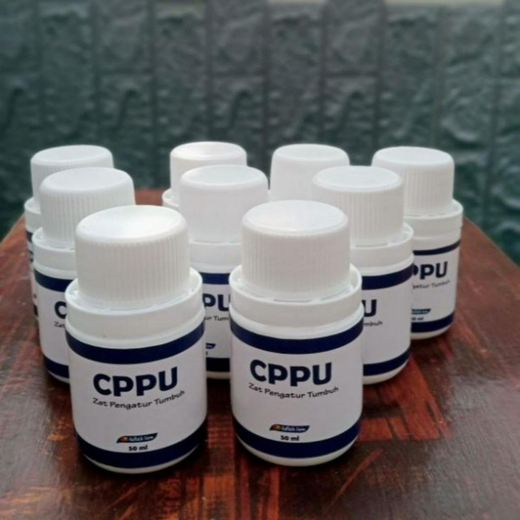Jual Raffatih Farm CPPU 50 ml - Zat Pengatur Tumbuh Buah Anggur | Shopee Indonesia