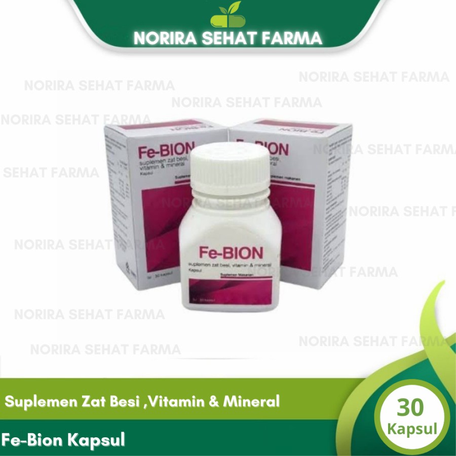 Jual Febion Fe Bion 30 Kapsul - Suplemen Zat Besi & Vitamin dan Mineral ...