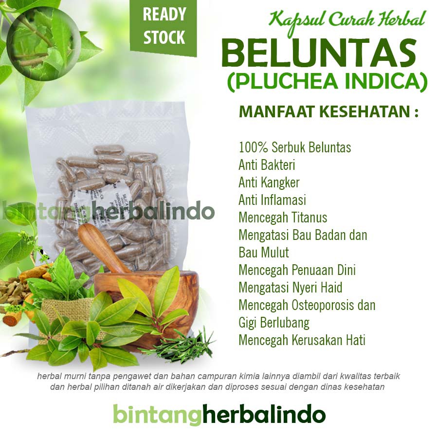 Jual BELUNTAS 100 Kapsul Herbal Keputihan Rematik Migrain Osteoporosis ...