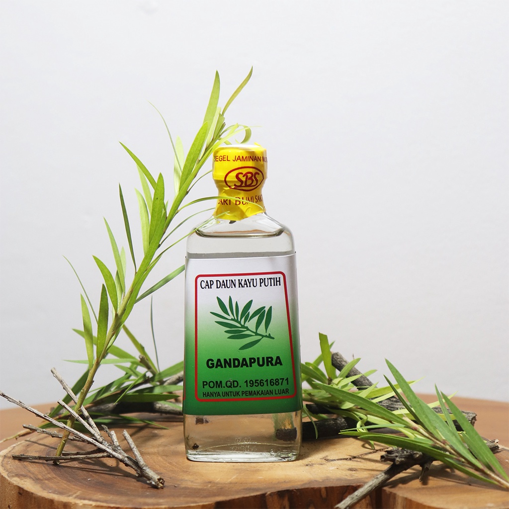 Jual Minyak Gandapura Cap Daun 60 ML | Shopee Indonesia