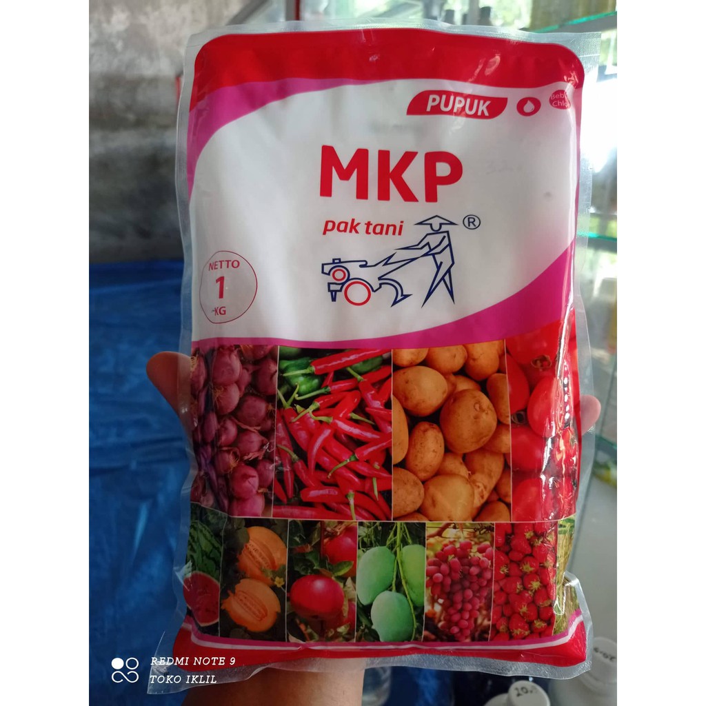 Jual Pupuk MKP cap pak tani 1 kg ( pupuk perangsang bunga dan buah ...