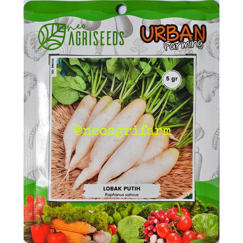 Jual Benih Lobak Putih REPACK NeoAgriSeeds | Shopee Indonesia