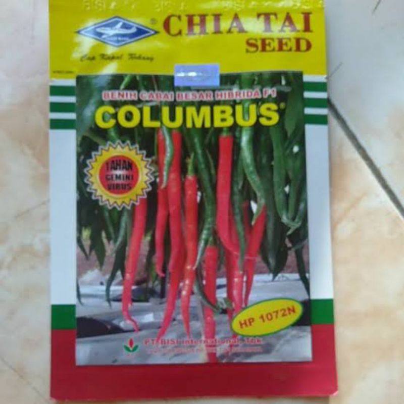 Jual BENIH CABE BESAR COLOMBUS F1/10 GRAM | Shopee Indonesia