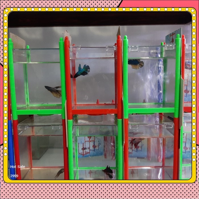 Jual Aquarium cupang nikita susun soliter cupang | Shopee Indonesia
