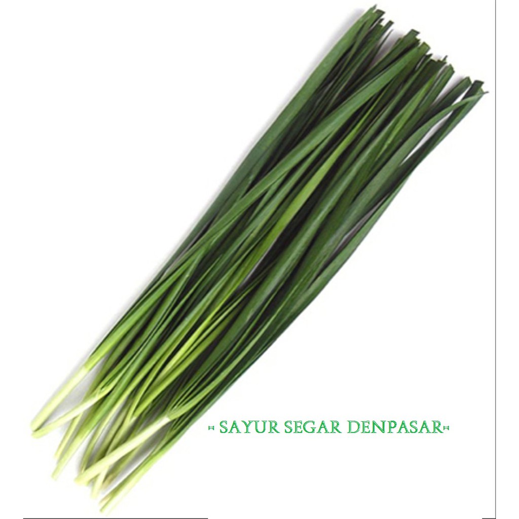 Jual CHIVE / SAYUR KUCAY 100g | Shopee Indonesia