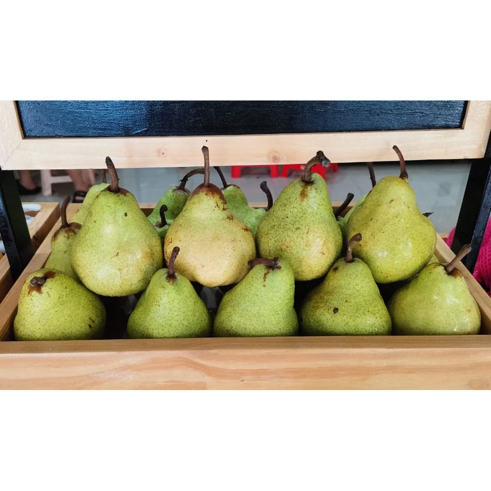 Jual Buah Pear Hijau / Pear Packham / Pir Jambu | Shopee Indonesia