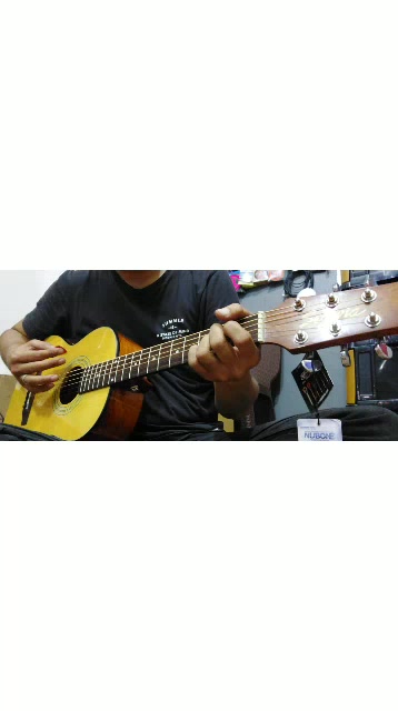 Jual Gitar Akustik Elektrik Original Segovia BF 10 GN 3/4 | Shopee Indonesia