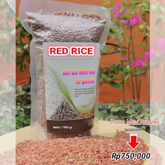Jual Beras Merah Organik Premium Kemasan Pouch | Shopee Indonesia