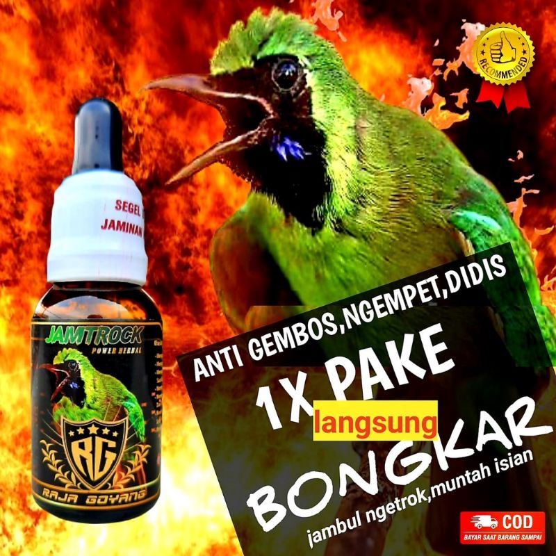 Jual JAMTROCK CUCAK IJO RG Vitamin Burung Cucak Ijo Penggacor Burung ...