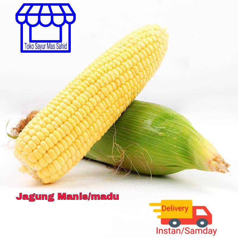 Jual Jagung Manis Madu Jagung Madu | Shopee Indonesia