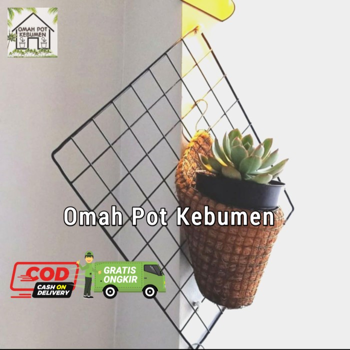 Jual pot anggrek sabut kelapa tempel dinding cantel unik | Shopee Indonesia