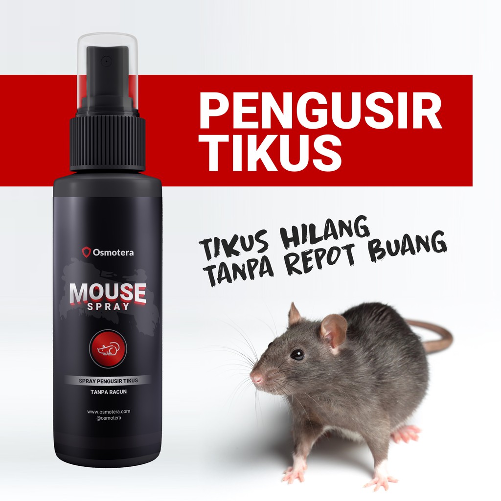 Jual Osmotera Mouse Spray | Spray Pengusir Tikus Tanpa Racun | Shopee ...