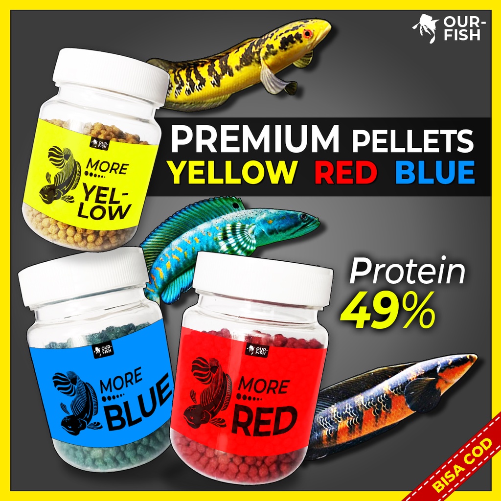 Jual OURFISH - Pelet Pakan Ikan Channa More Yellow Blue Red Andrao ...
