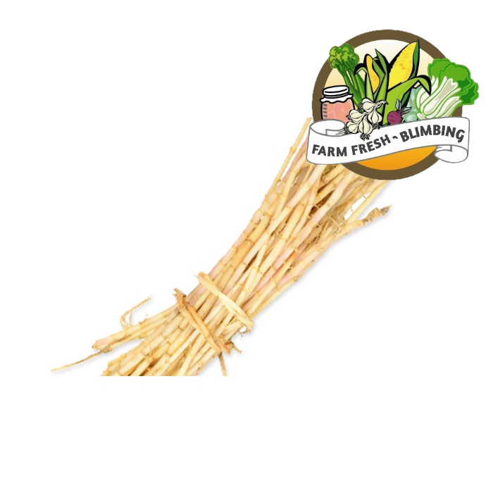 Jual akar alang alang 100grm | Shopee Indonesia