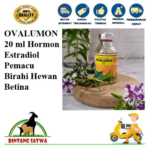 Jual OVALUMON 20 ml - Hormon Estradiol | Shopee Indonesia
