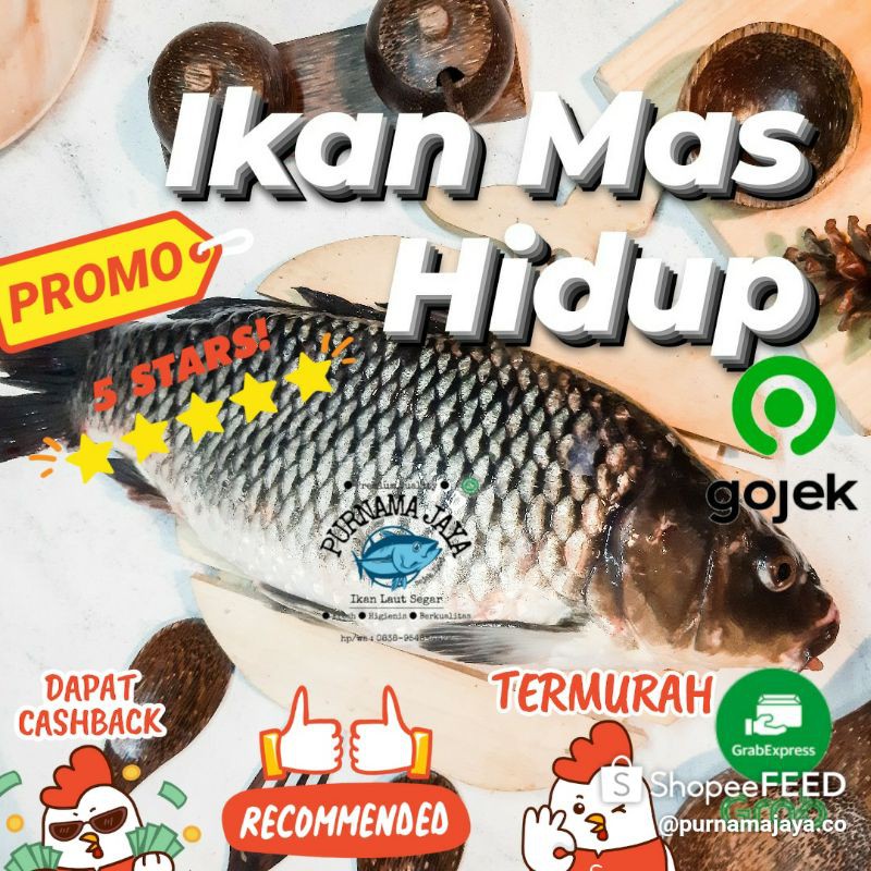 Jual Ikan Mas Hidup Segar 1kg | Shopee Indonesia