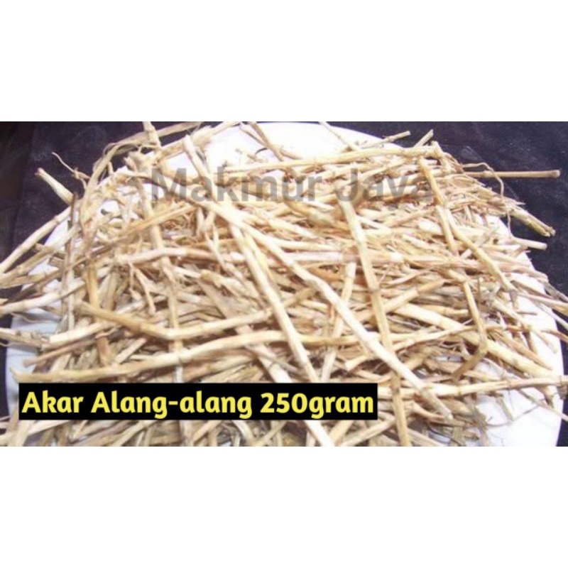 Jual Akar Alang Alang Kering Asli Obat Herbal Diare tekanan Rarah ...