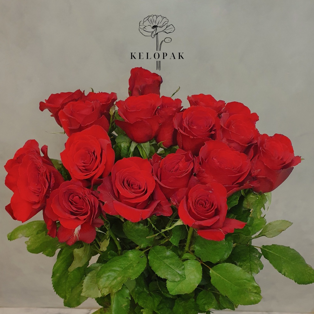 Jual Mawar Merah isi 1 Tangkai/Red Rose/Mawar Potong/Bunga Mawar Potong ...