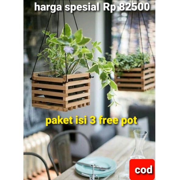 Jual Rak pot Gantung Kayu Bunga Anggrek | Shopee Indonesia
