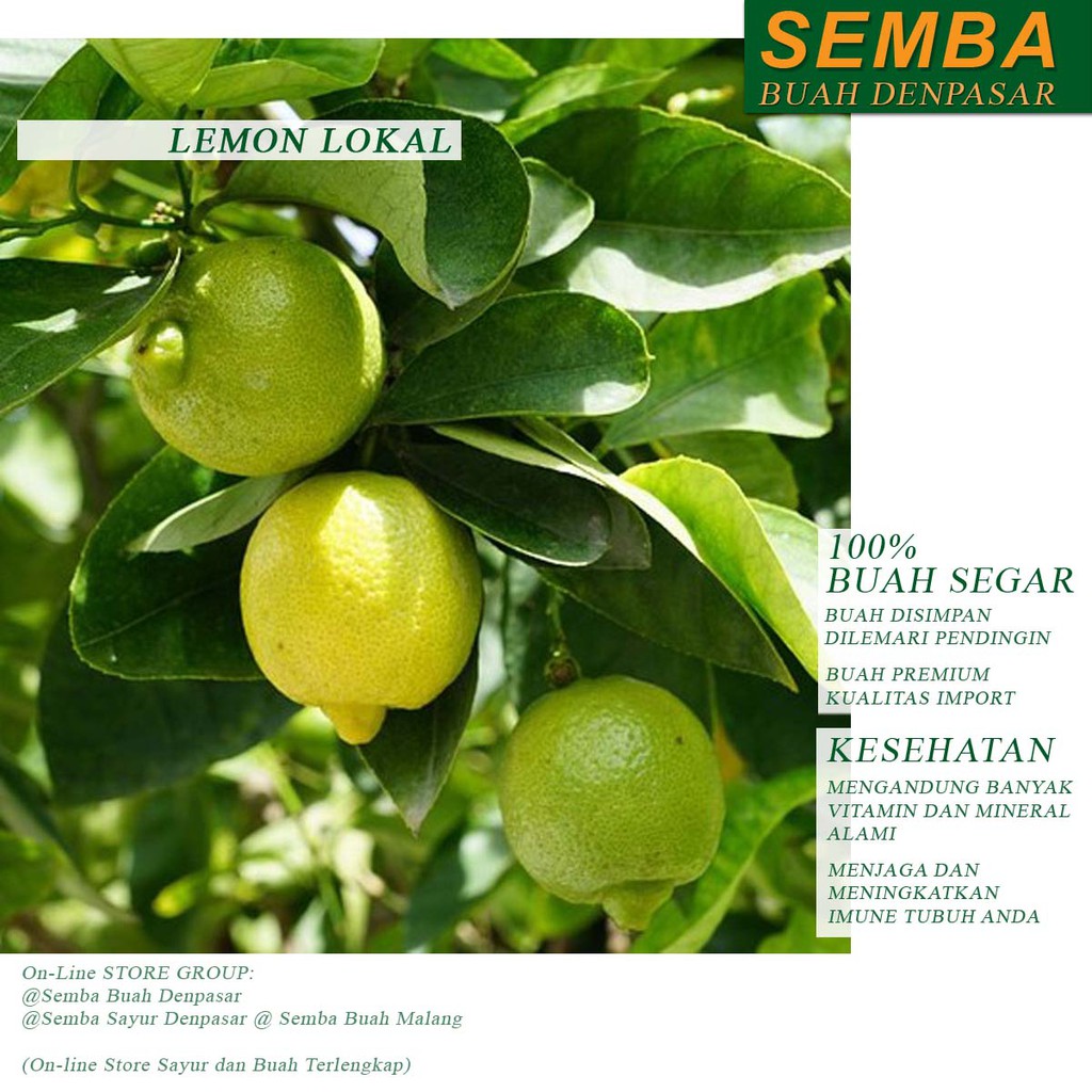 Jual LEMON LOKAL buah fruit sayur sayuran sembako pangan food bahan ...