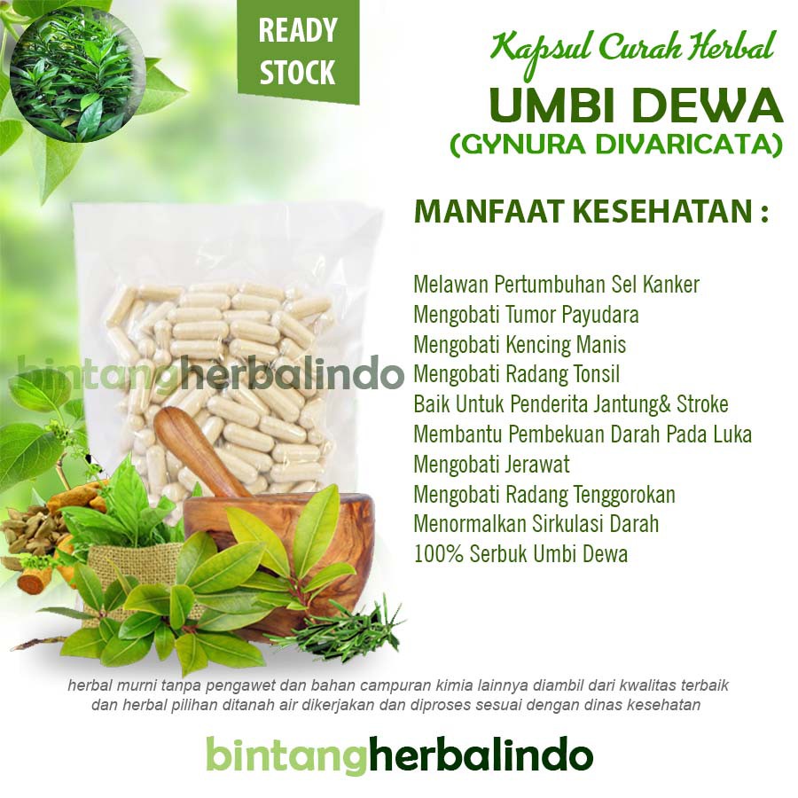 Jual UMBI DEWA 100 Kapsul Herbal Radang Tonsil Jerawat Penggumpalan ...