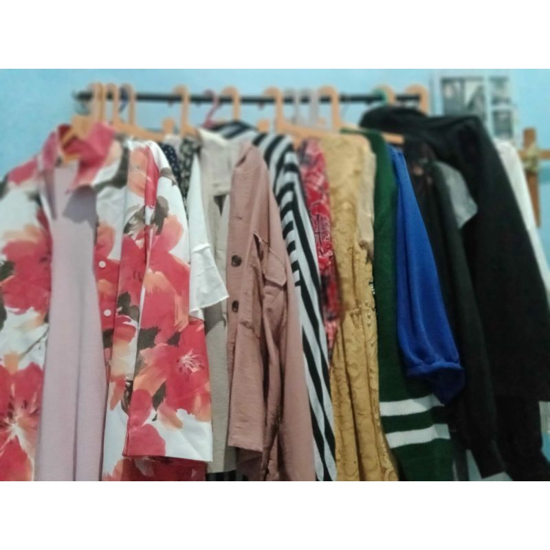 Jual LINK CO LIVE 1 KG !! | Shopee Indonesia