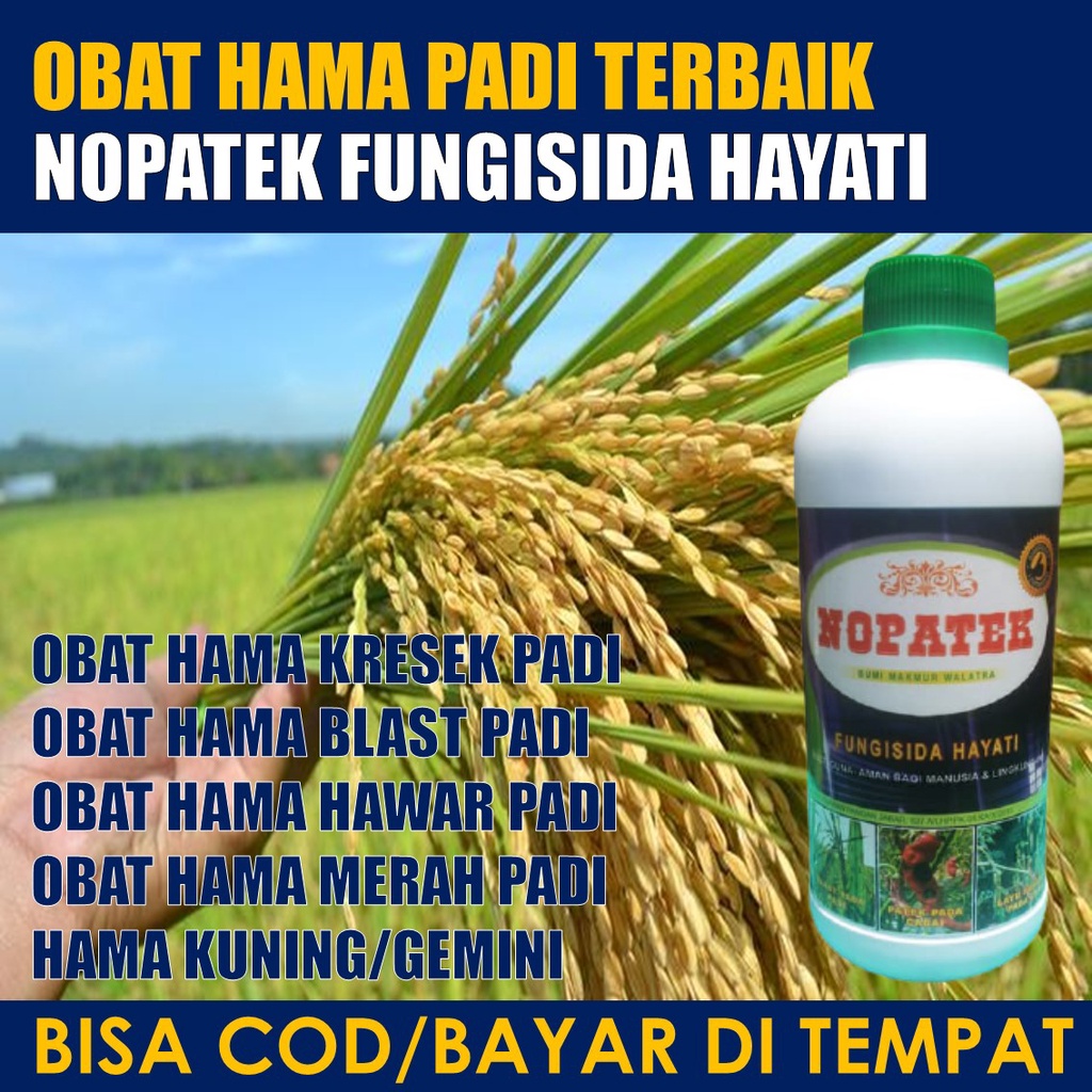 Jual PROMO 500 Ml Obat Hama Padi Sawah Paling Ampuh NOPATEK Obat HAMA ...