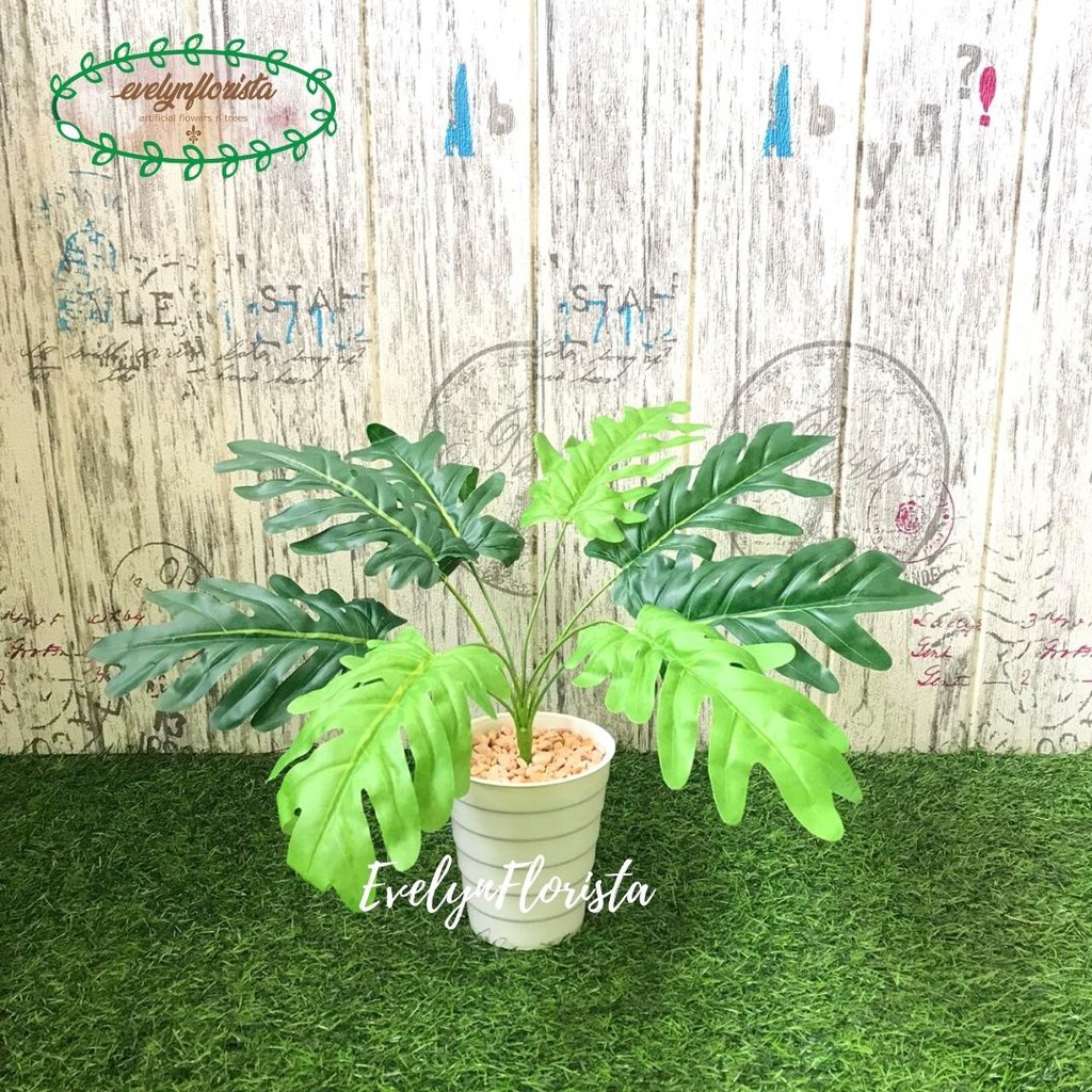 Jual Tanaman Daun Pillow Jari Semi Latex Artificial Pot Ulir Cemara 505 ...