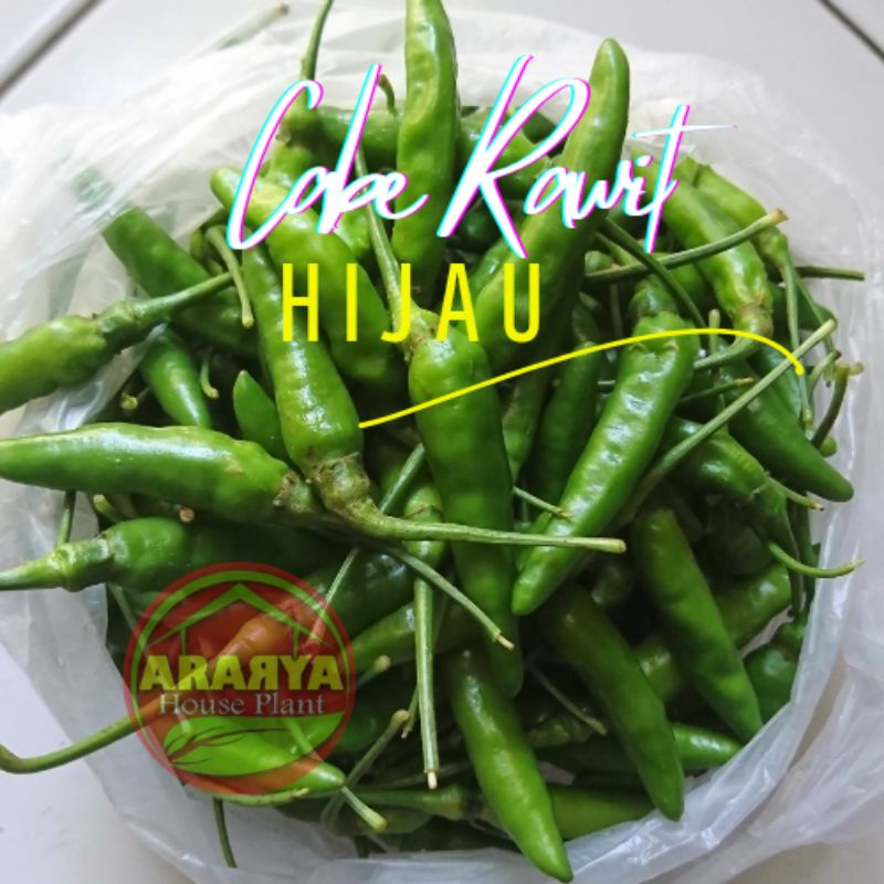Jual Cabe Rawit Hijau Segar 500 gram Fresh Lombok Ijo Kecil Segar ...