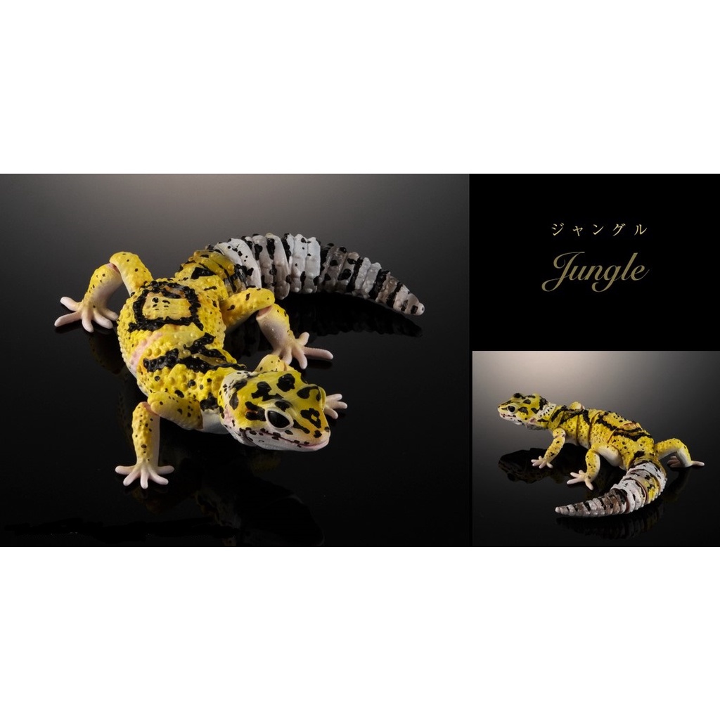 Jual [Bandai] Gashapon Premium Advance Leopard Gecko - Jungle | Shopee ...