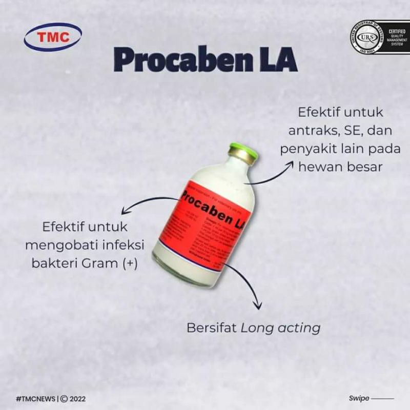 Jual PROCABEN LA 100ml pengganti Penstrep400 | Shopee Indonesia