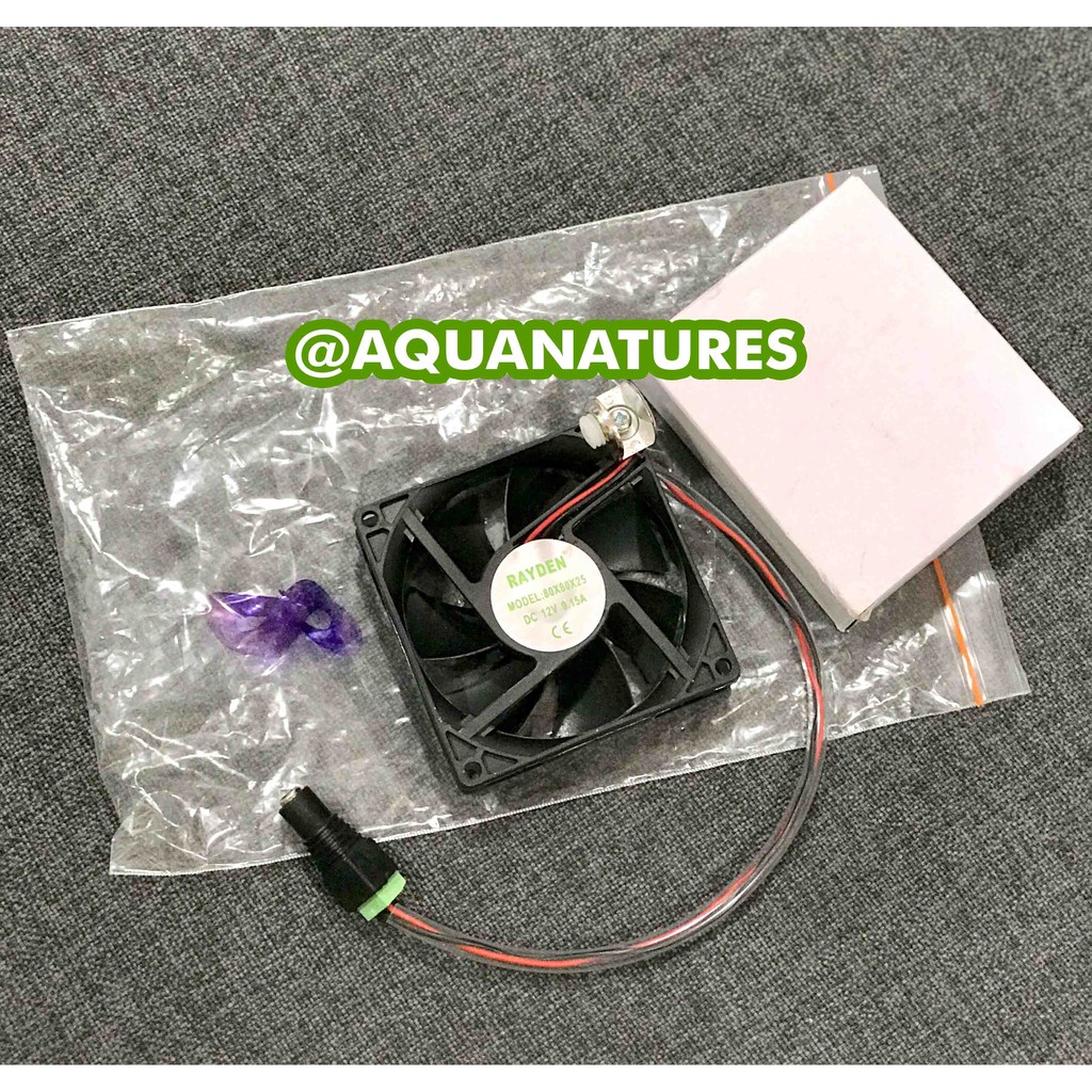 Jual Cooling Fan Single DC 12 Volt Rayden 8cm | Shopee Indonesia