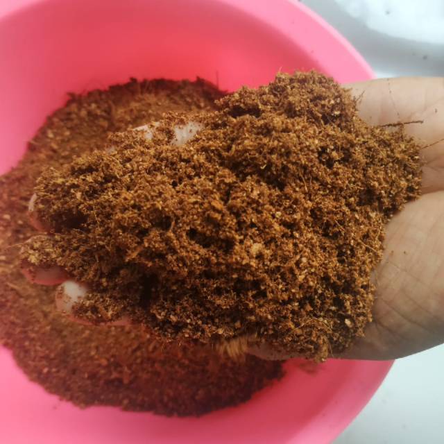 Jual Cocopet / cocopeat / cocopit 500 gr | Shopee Indonesia