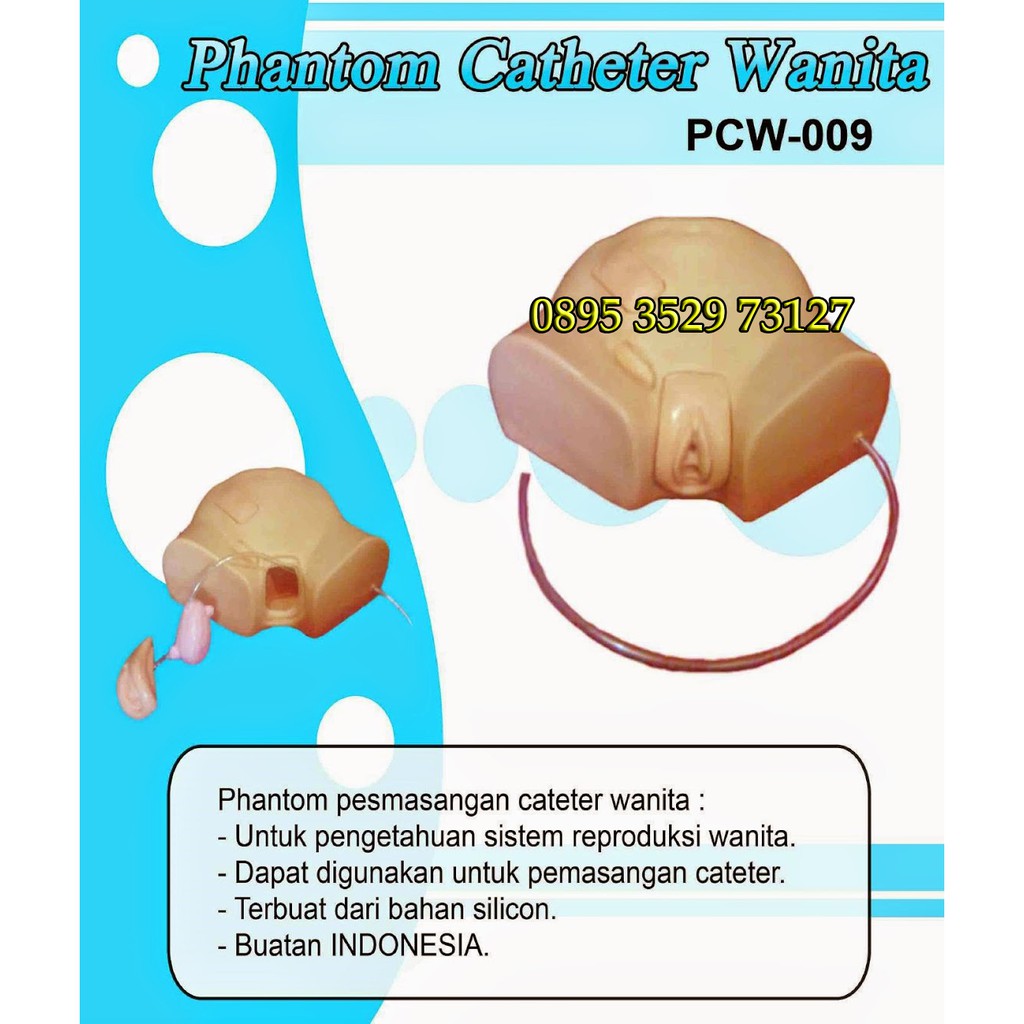Jual ⭐⭐⭐⭐⭐ BONEKA MANEKIN PHANTOM ALAT PERAGA CATHETER WANITA PCW-009 | Shopee Indonesia