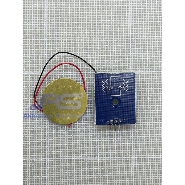 Jual Piezoelectric Piezo Vibration Sensor with Module Sensor Gerak Piezo | Shopee Indonesia