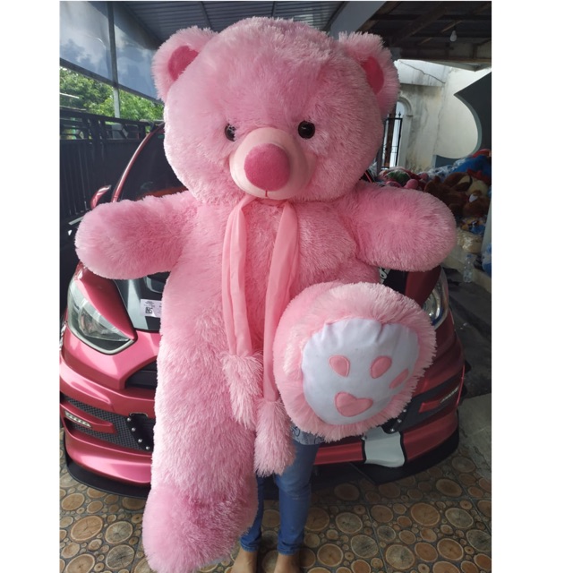 Jual Boneka teddy bear jumbo / boneka beruang jumbo syal telapak pink ... Jual Boneka teddy bear jumbo / boneka beruang jumbo syal telapak pink ...