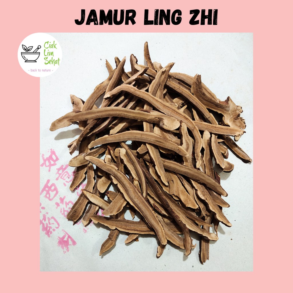 Jual Jamur Ling Zhi / Ling Ce (500 GR) | Shopee Indonesia