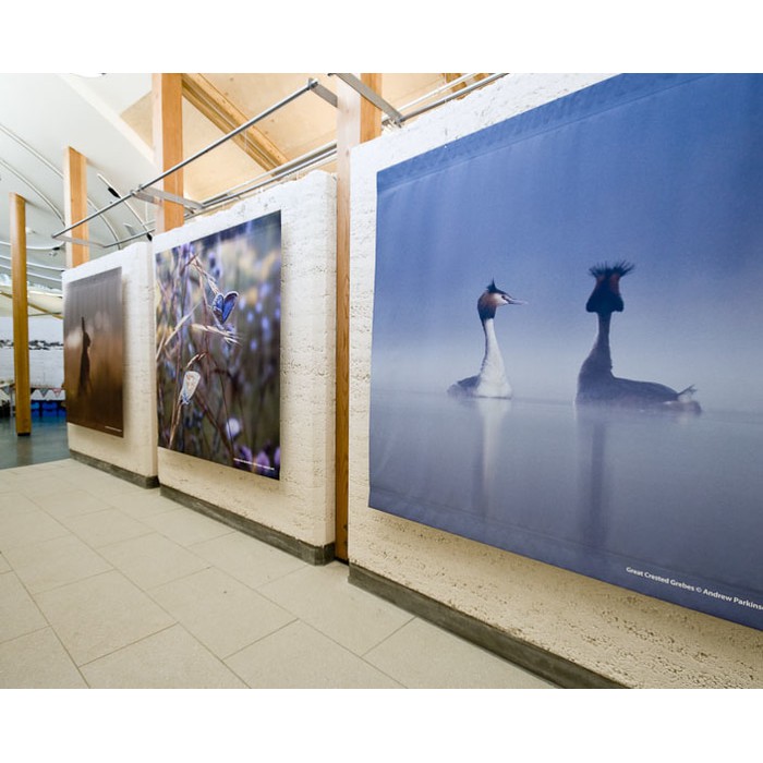 Jual Cetak Banner Frontlite 440gr Doff for Wallpaper | Shopee Indonesia