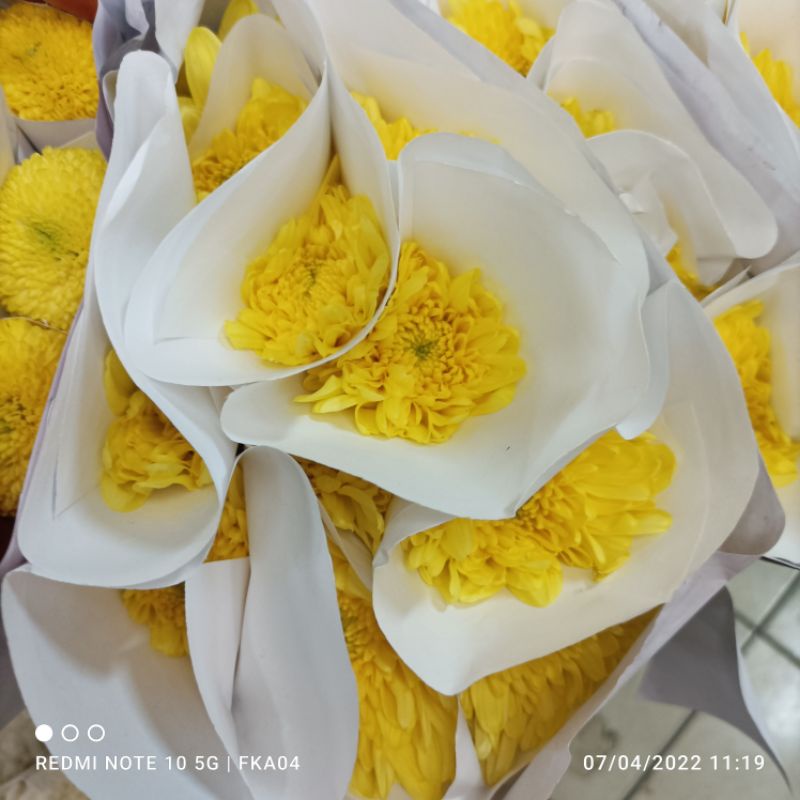 Jual Bunga Krisan Segar (Bunga Potong Segar Jakarta) | Shopee Indonesia