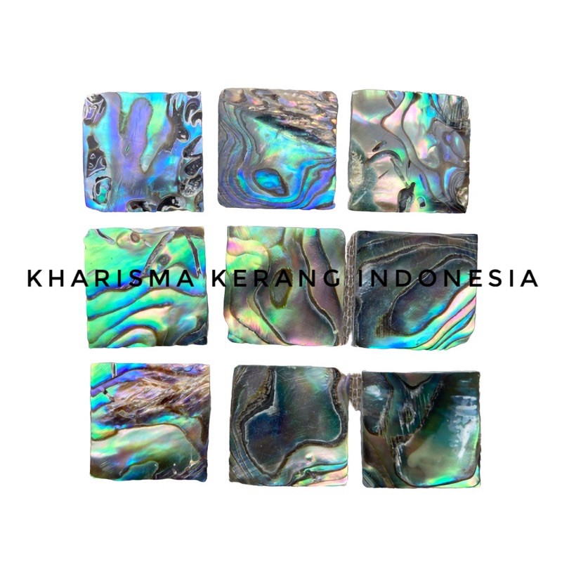 Jual ABALONE MOSAIC TILES NEW ZEALAND 15x15mm ABALONE SHELL ABALONE ...