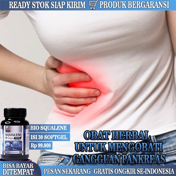 Jual Obat Herbal Gangguan Pankreas Karena Diabetes, Mengobati Pankreas ...